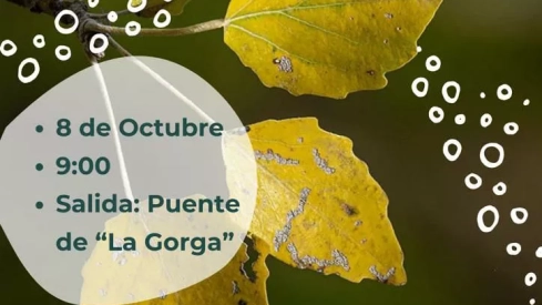 El Club de Montaña Nabaín organiza un recorrido naturalista para ...