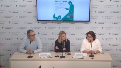 La música de cuerda toma el escenario en Huesca con el III Encuentro ...