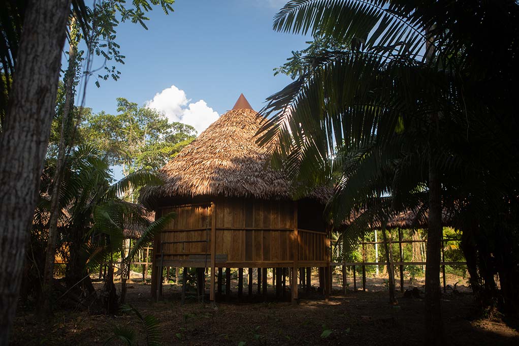 Eywa Lodge Amazonas, la aventura empresarial amazónica de la osce...